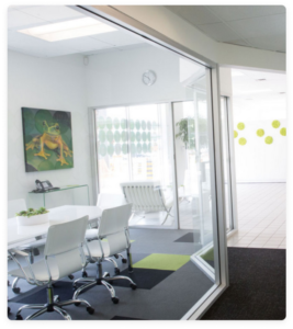 International program | Treefrog Accelerator