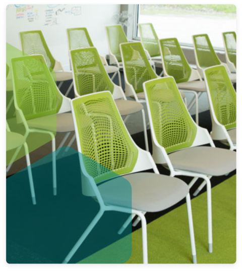 Regional Program | Treefrog Accelerator