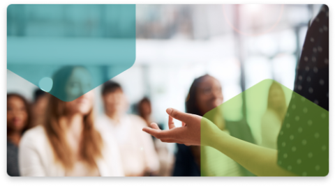 Regional Program | Treefrog Accelerator