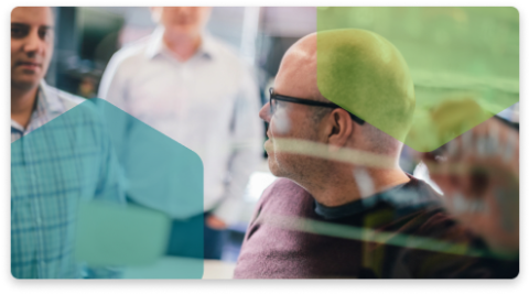 Regional Program | Treefrog Accelerator