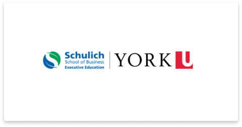 Our Value & Partners | Treefrog Accelerator