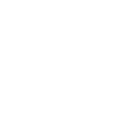 International program | Treefrog Accelerator