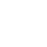 International program | Treefrog Accelerator